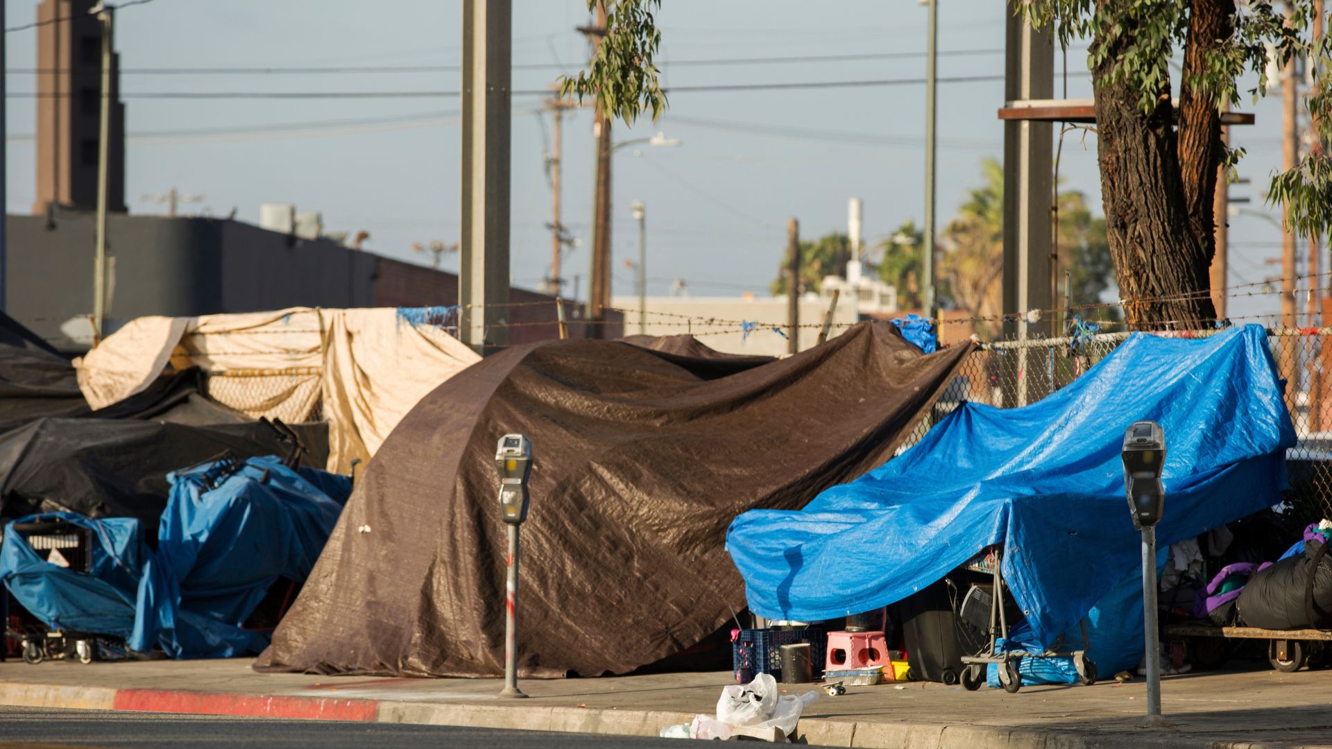 Utilizing Security Guards to Address Homelessness Challenges in Arizona ...
